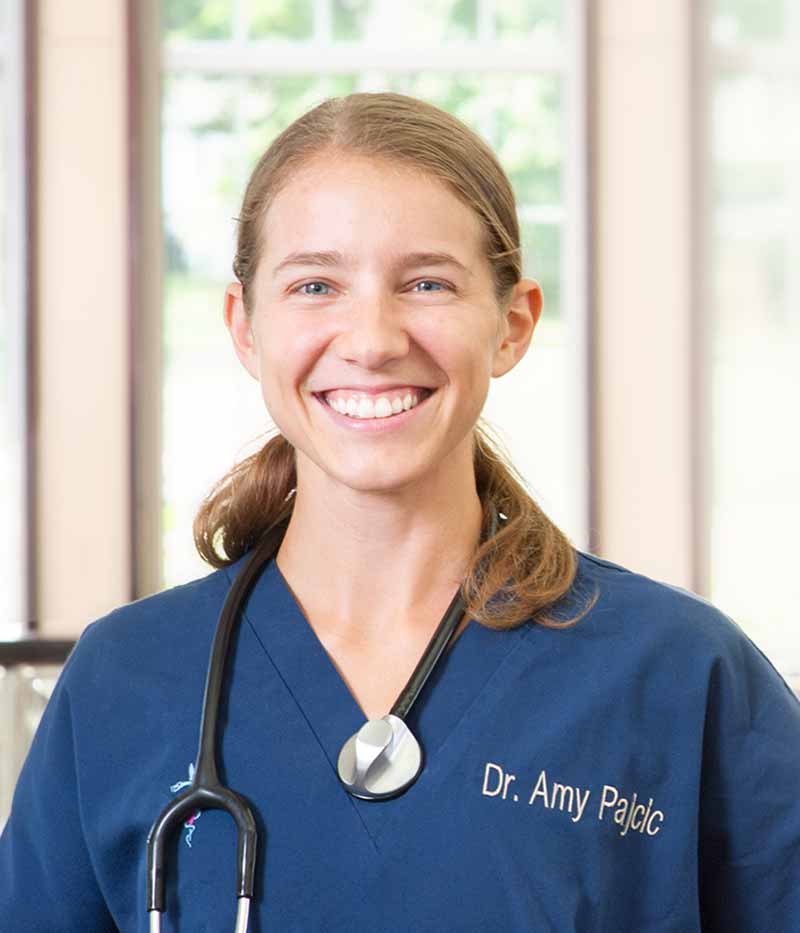 Animal Hospital in North Ridgeville, OH ˛Animal Clinic Northview