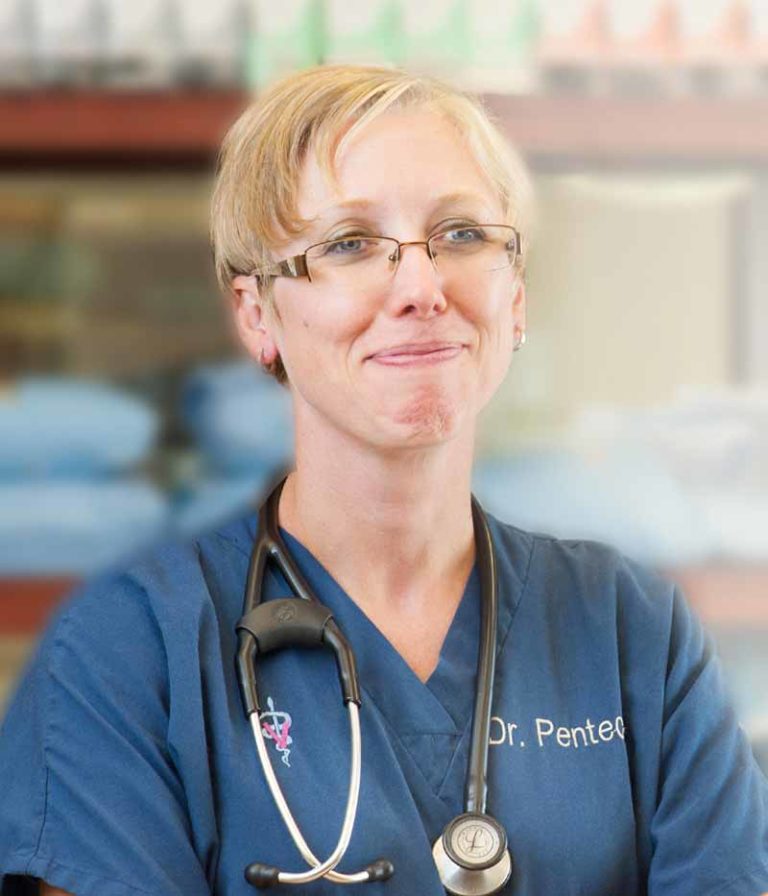 Animal Hospital in North Ridgeville, OH ˛Animal Clinic Northview