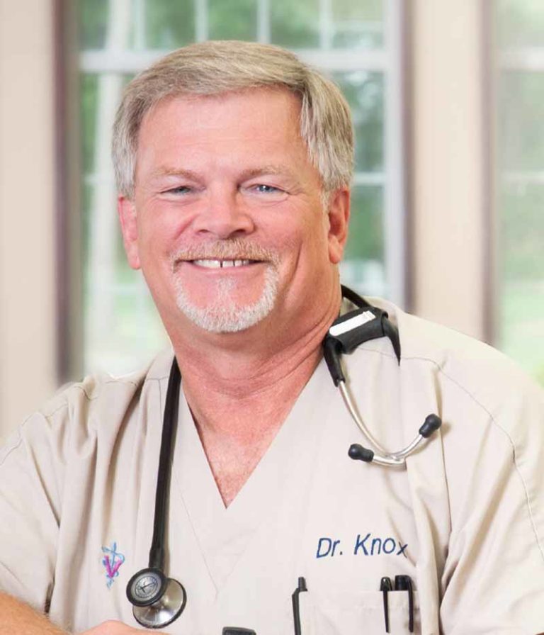 Animal Hospital in North Ridgeville, OH ˛Animal Clinic Northview