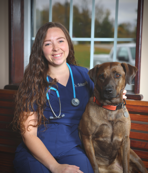 Animal Hospital in North Ridgeville, OH Northview Animal Clinic